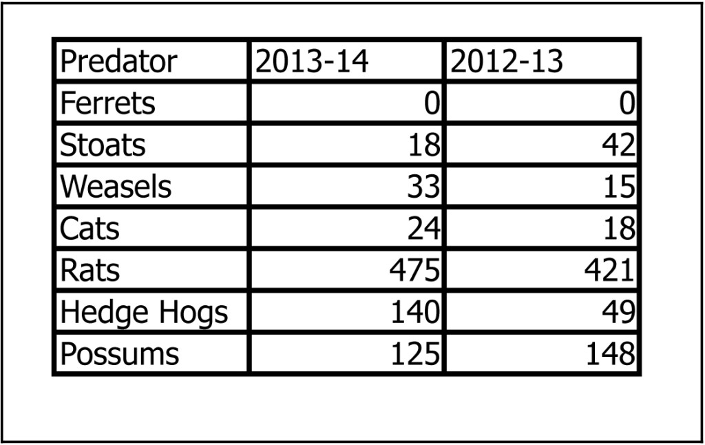 predator trapping 2013-2014 « Backyard Kiwi